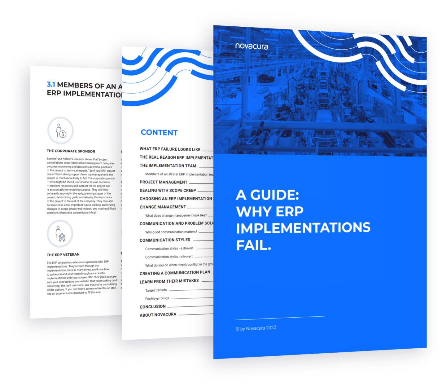 ERP Implementation Failures with Valuable Lessons, Novacura