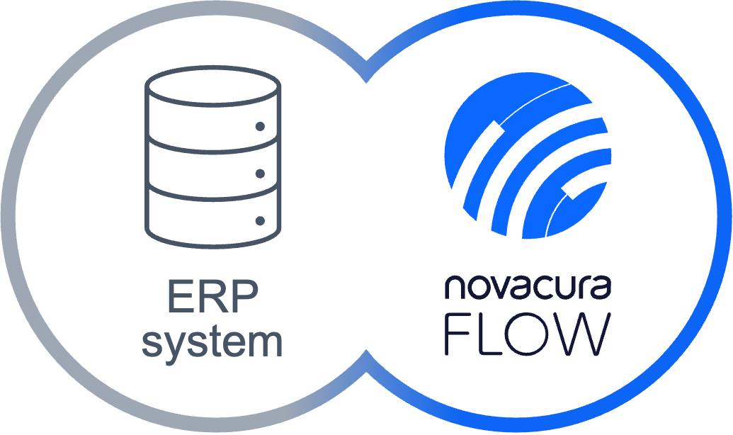 Low-Code ERP Customization Solutions – Novacura Flow